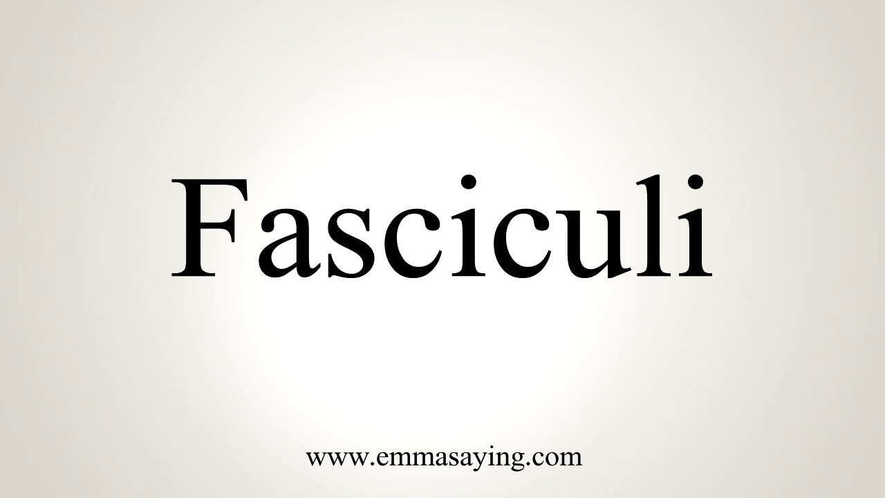 How To Pronounce Fasciculi - YouTube