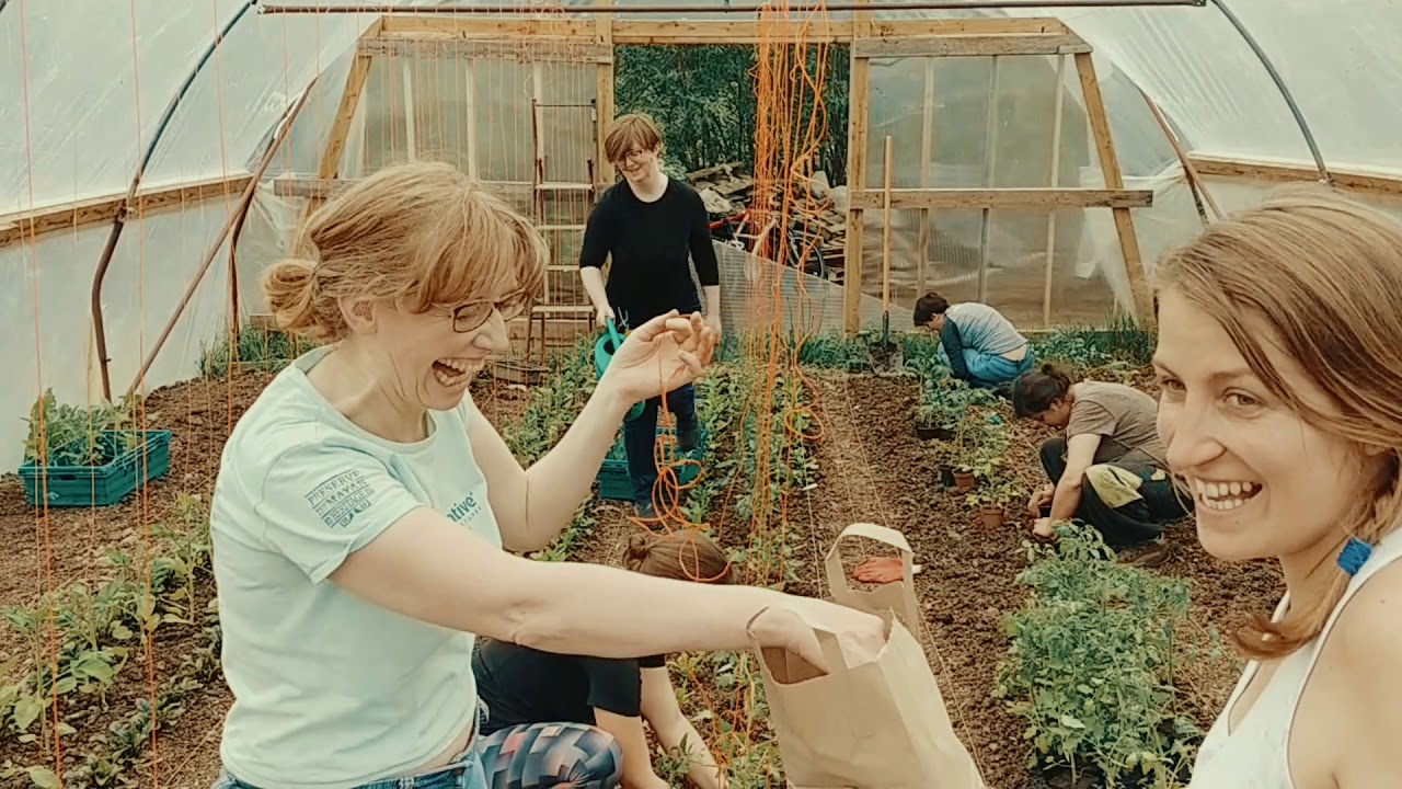 Dublin CSA Farm Day (May 2019) - YouTube