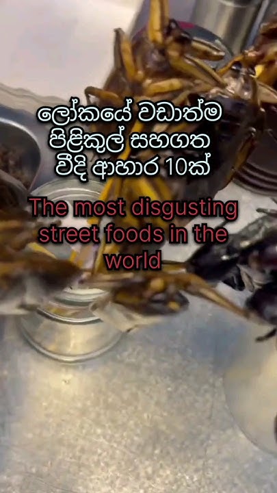 # පිළිකුල් සහගත වීදි ආහාර 10ක් #top 10 most disgusting street foods in the world - YouTube