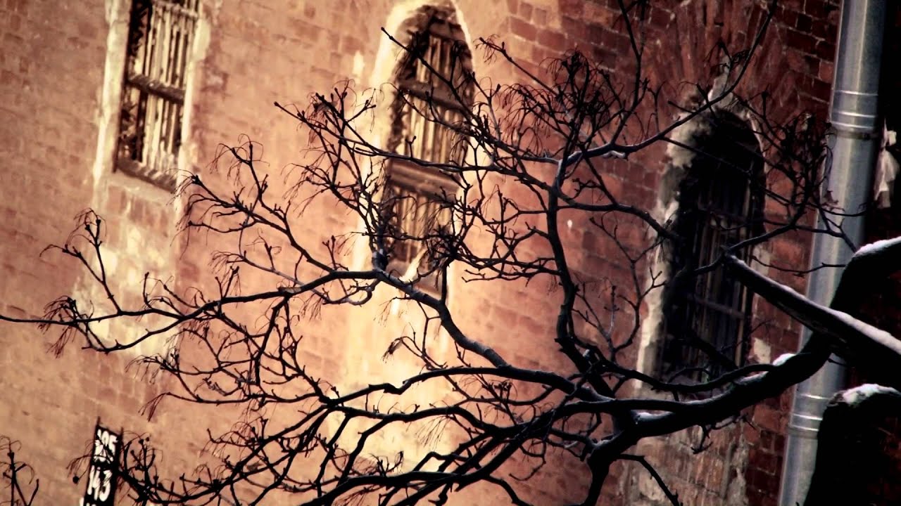 Tomorrow - trailer - YouTube