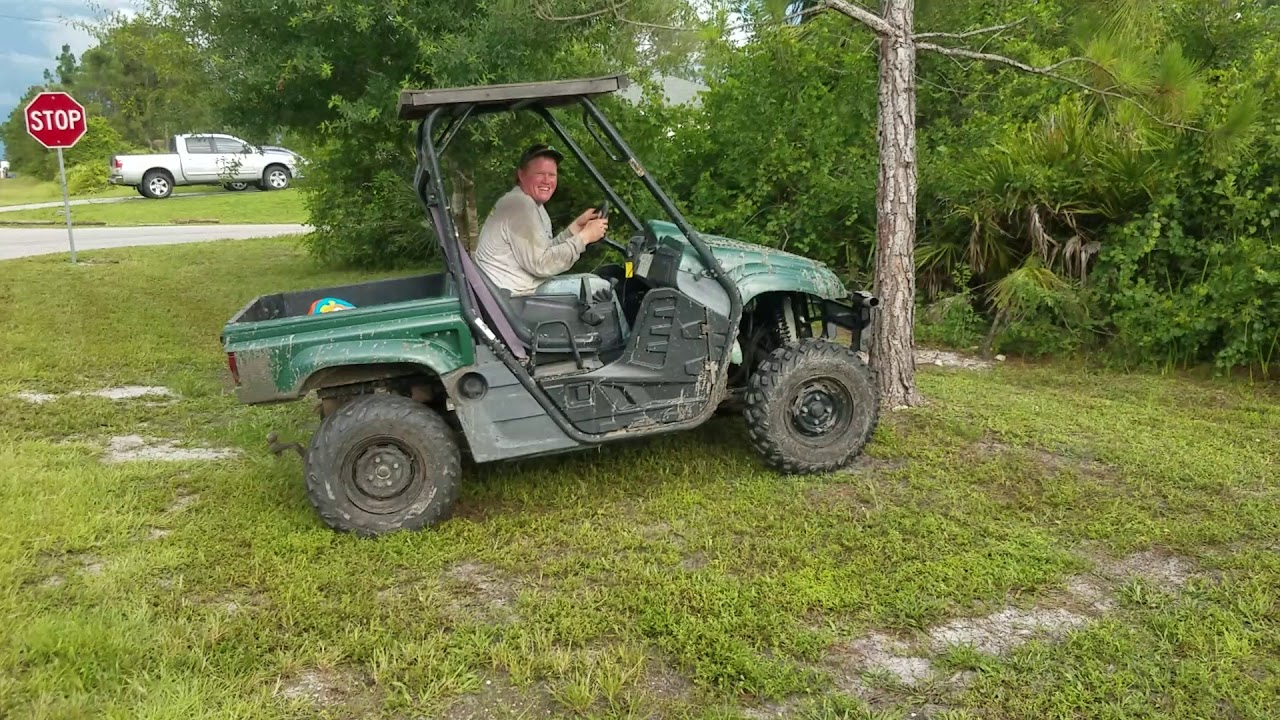 660 rhino climbing a tree - YouTube