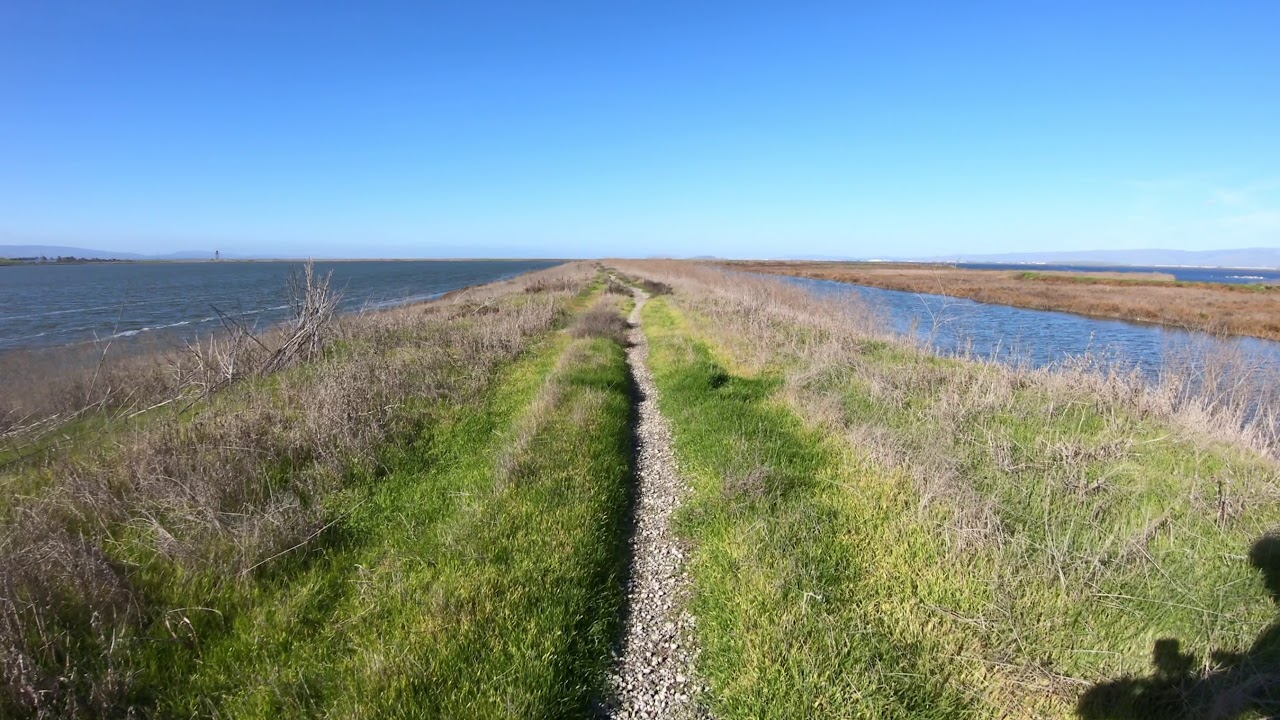 #bikingwithbliss on a narrow levee path that feels like it's in the ...