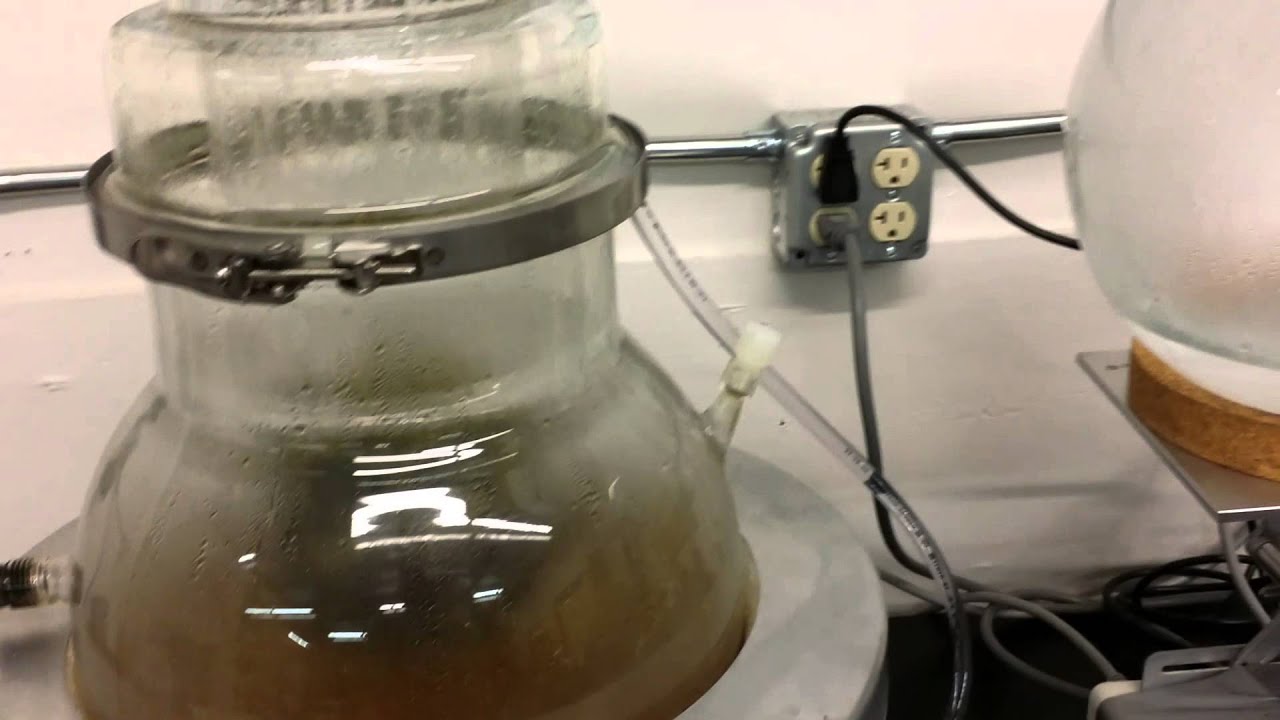 Cannabis Essential Oil Steam Extraction - YouTube