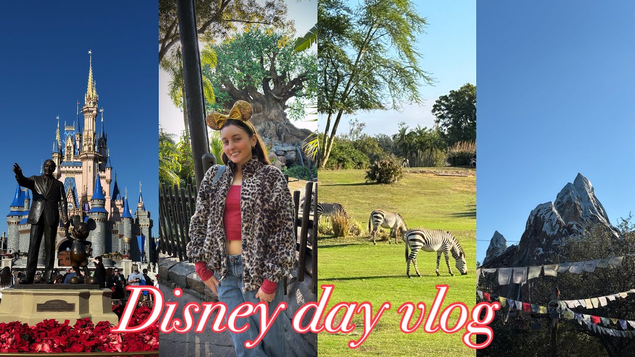 PARK HOPPING AT DISNEY WORLD: Animal Kingdom, Epcot, Magic Kingdom ...