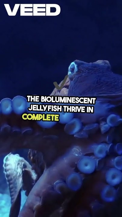 Deep Dive into Mariana Trench! - YouTube