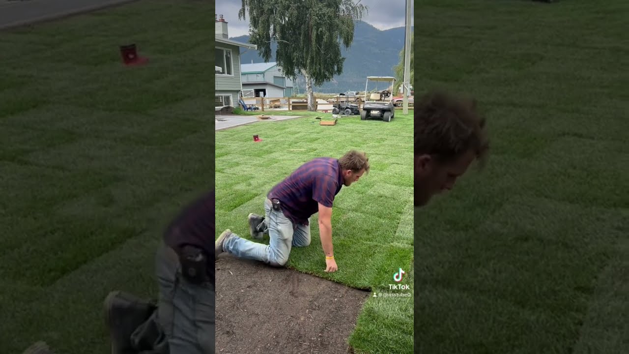 Standard Sod Roll Size: Your 5-Minute Lawn Project Guide - houzdepot.blog