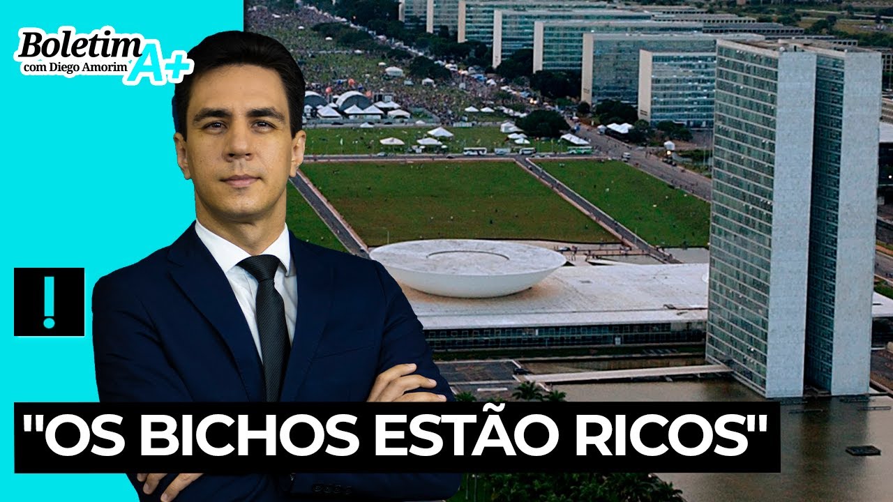 "Os bichos estão ricos" - YouTube