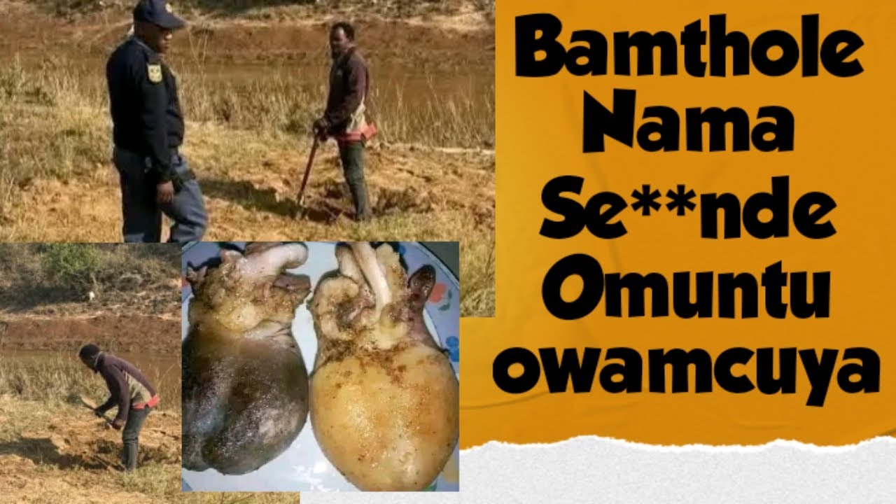 Usizi Indoda Inquma uMphambili wenye iNdoda... - YouTube