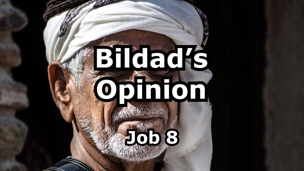 Bildad's Opinion (Job 8) - YouTube