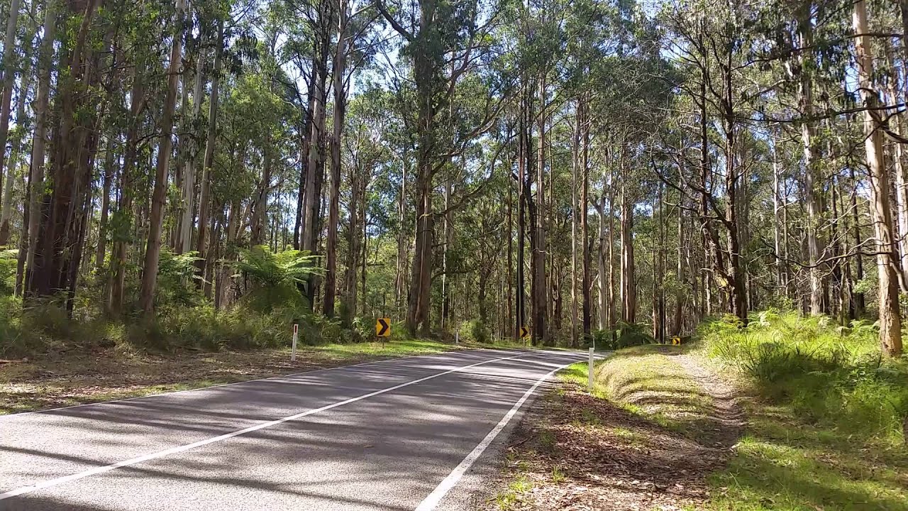 Mid week run through Reefton Spur, Mitsubishi Evo 5 CP9A - YouTube