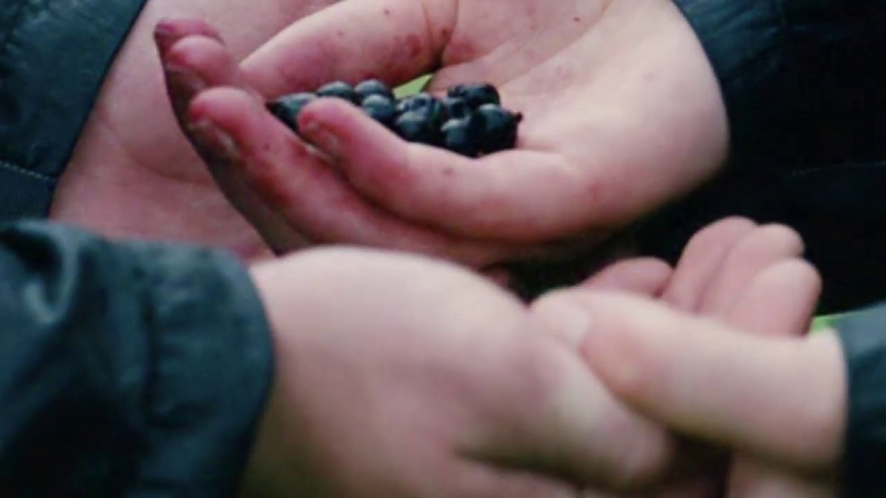 The Hunger Games: Chapter 23 - YouTube