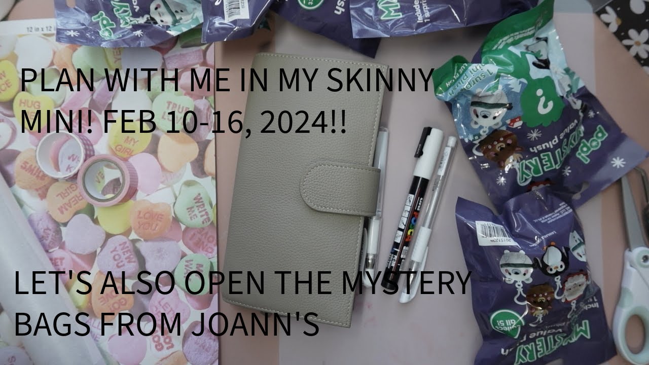 PLAN WITH ME IN MY SKINNY MINI AND A SURPRISE AT THE END! | SKINNY MINI ...