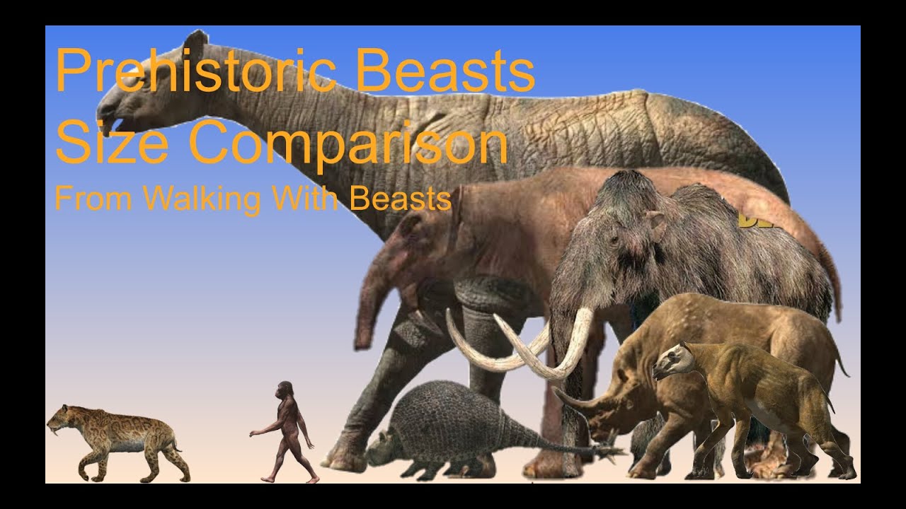 Prehistoric Beasts Size Comparison From Walking With Beasts - YouTube