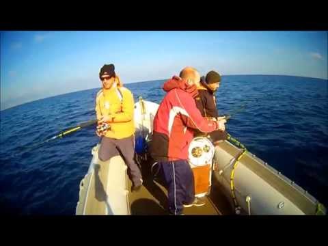 shimano bottom ship dikelas.gr