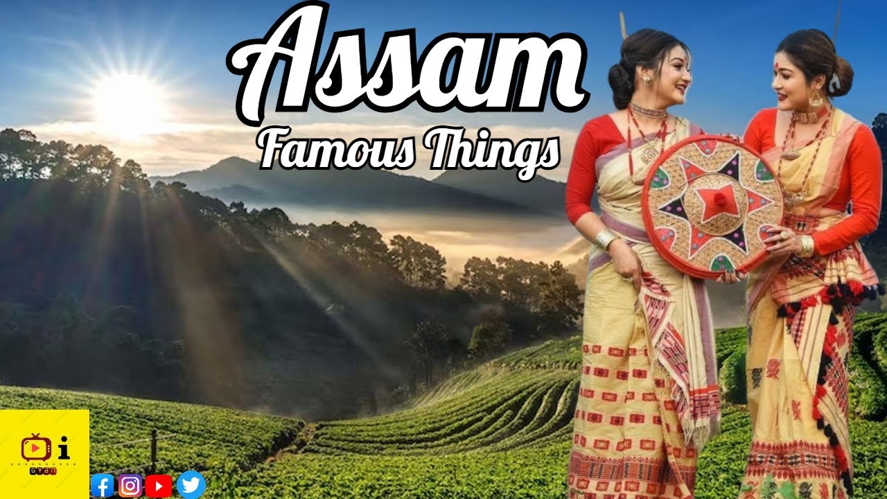 Assam Famous Things||असम की प्रसिद्ध चीजें क्या हैं?|#assam - YouTube