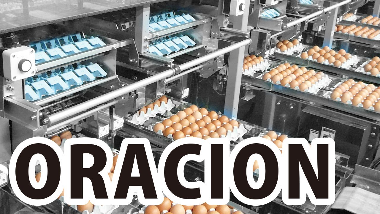 【NABEL】鶏卵選別包装装置 Egg Grading & Packing System≪60,000eggs/hr≫（ORACION6000 ...