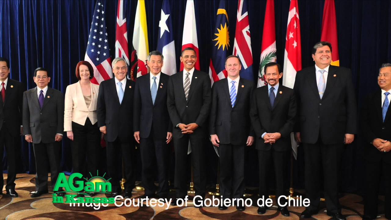 Farm Factor - Tracy Brunner, President NCBA - February 16, 2016 - YouTube