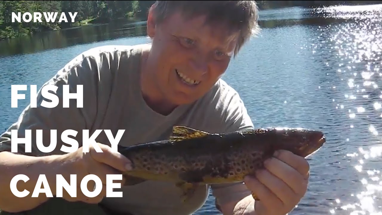 Fiske (ørret, tryte/abbor). Kanotur med husky. - YouTube