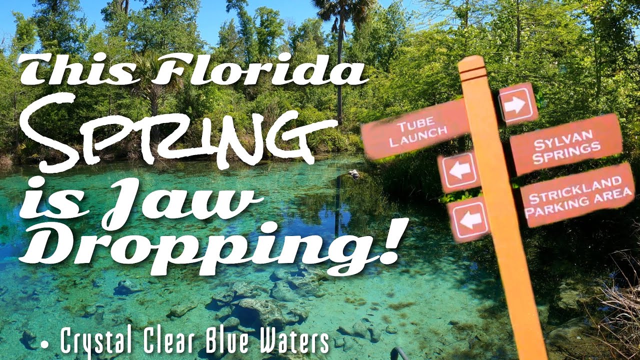 3 COLD SPRINGS!! on Econfina Creek! #FLORIDA #HIKES - YouTube