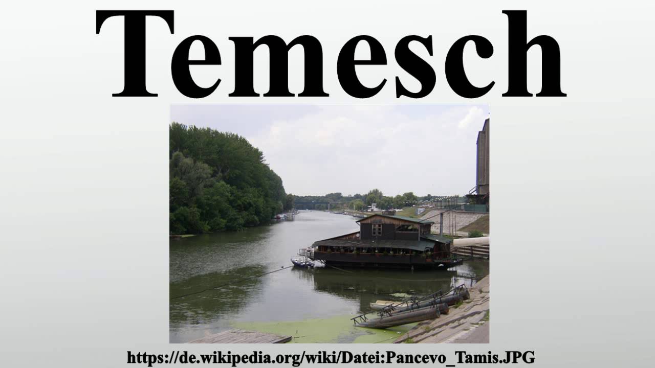 Temesch - YouTube