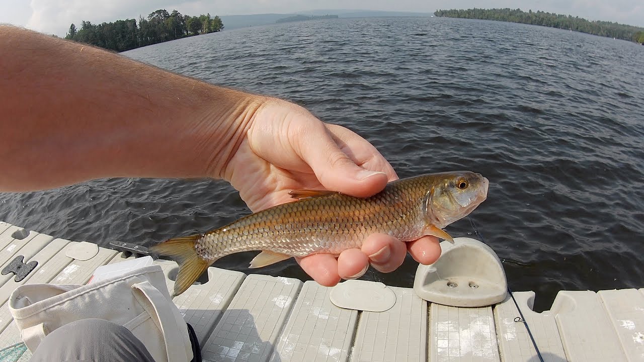 Fishing Rangeley Lake, Rangeley, Maine - YouTube