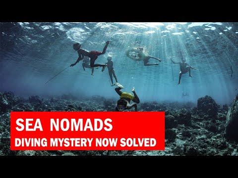 Discovering the world of the Bajau Tribe|The Free Diving Sea Nomads ...