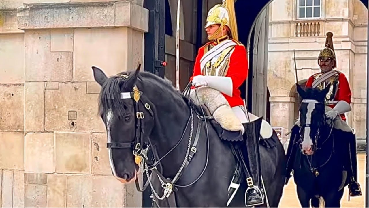 These Royal Guard's Move Left Everyone Speechless! - YouTube