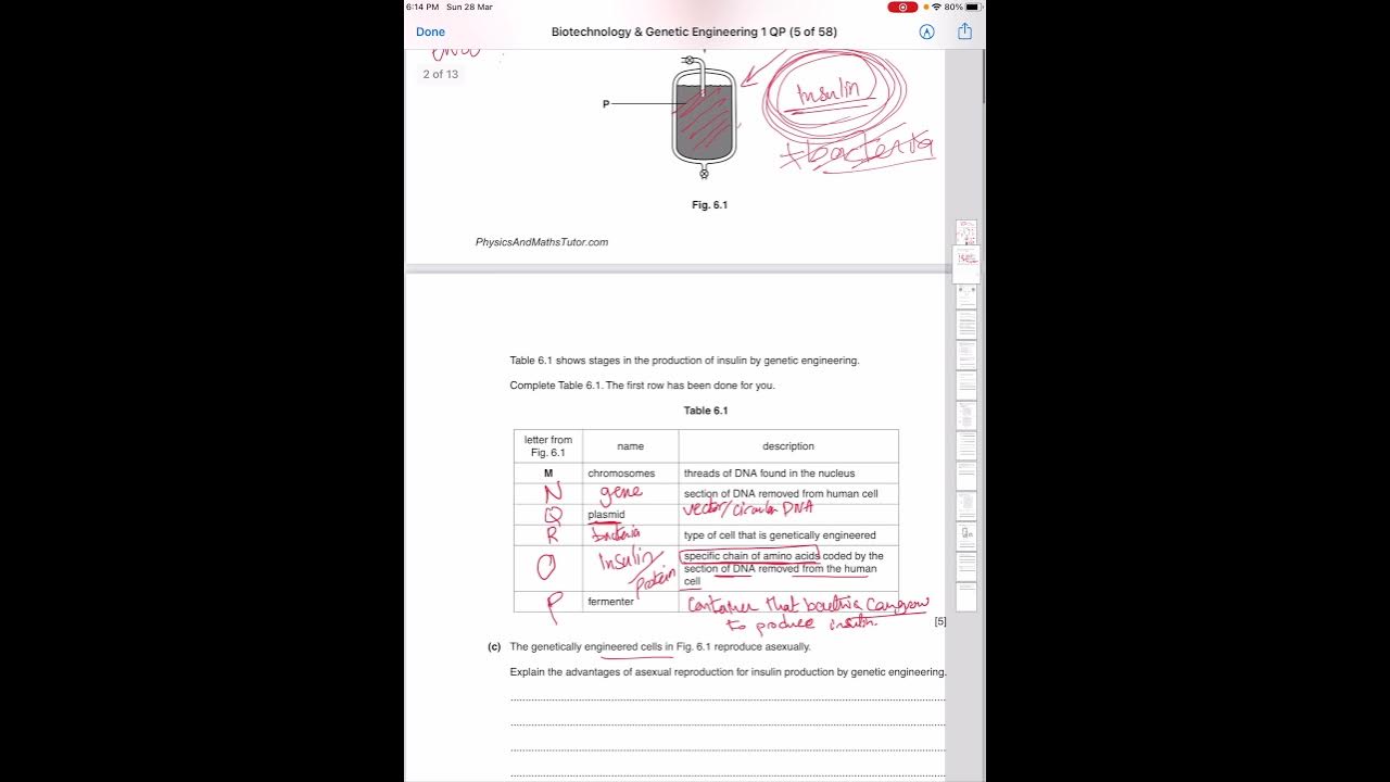 Biotechnology and Genetic Engineering IGCSE Biology - YouTube