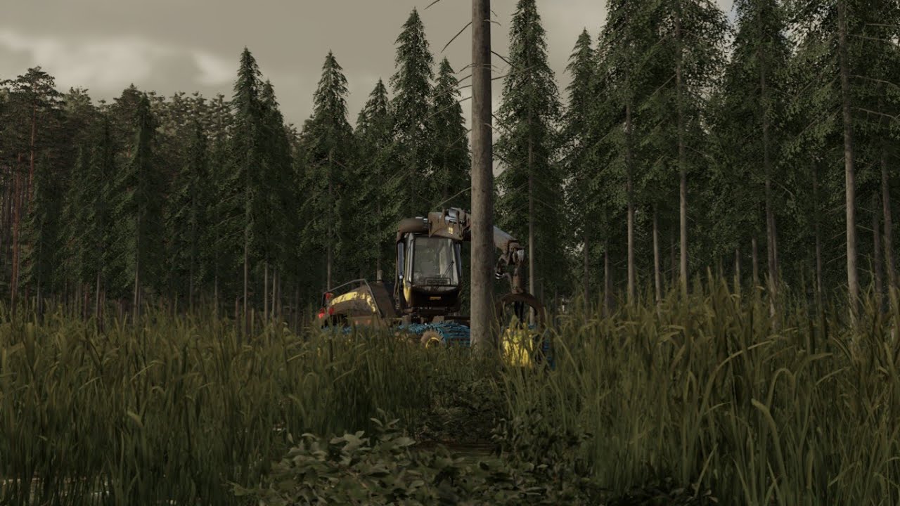 More cutting! FS22 Holmåkra Timelapse E12 - YouTube