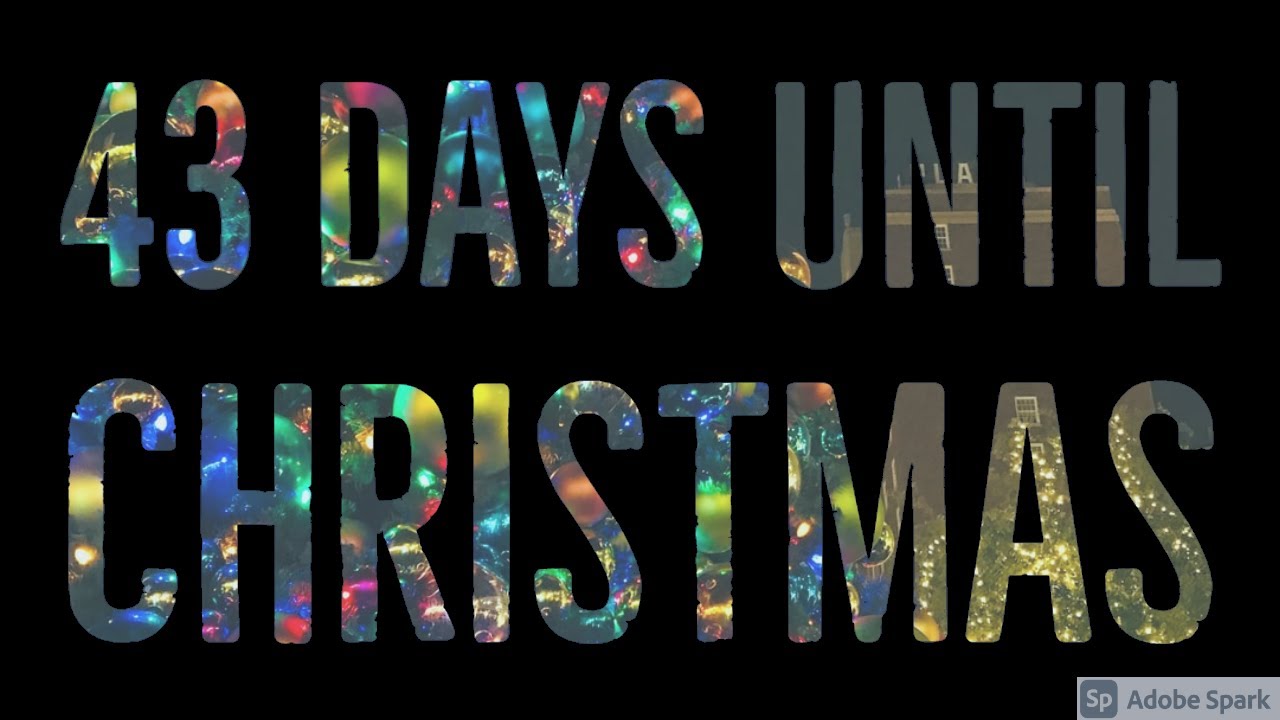 Countdown to Christmas - 43 days until Christmas 🎄 - YouTube