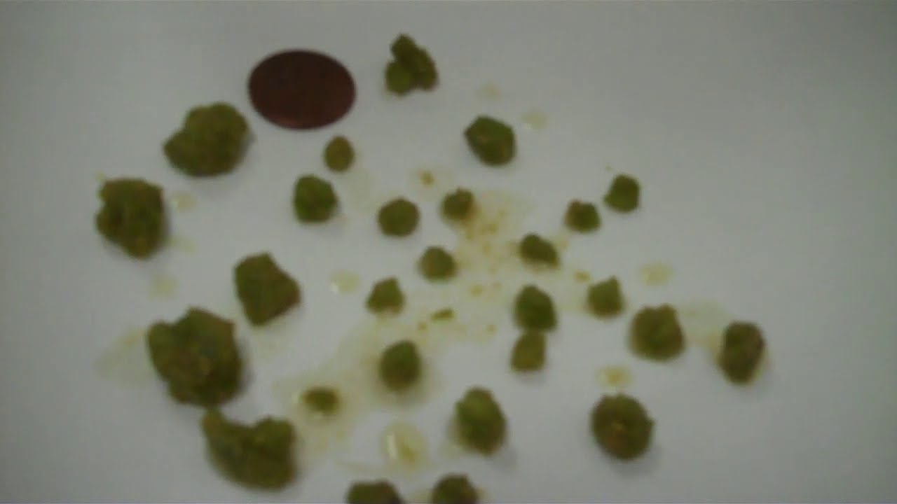 Video 41 Results liver flush adapted Dr. Hulda Clark protocol routine ...