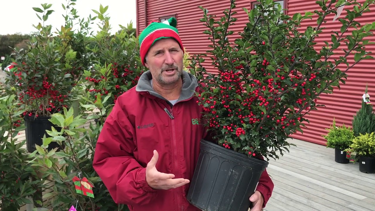 Happy Holidays from Prides Corner Farms! - YouTube