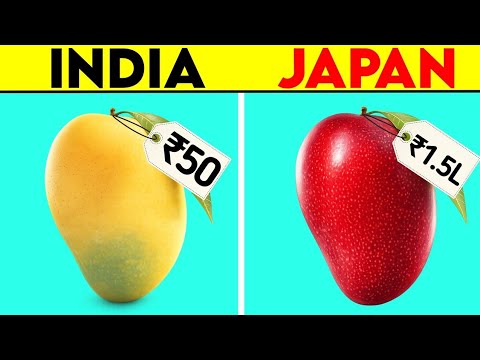 Only in Japan! 15 Mind-Blowing Facts | Facts