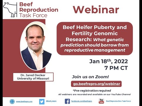 BRFT Monthly Webinar - Dr. Jared Decker 01/18/2022 - YouTube