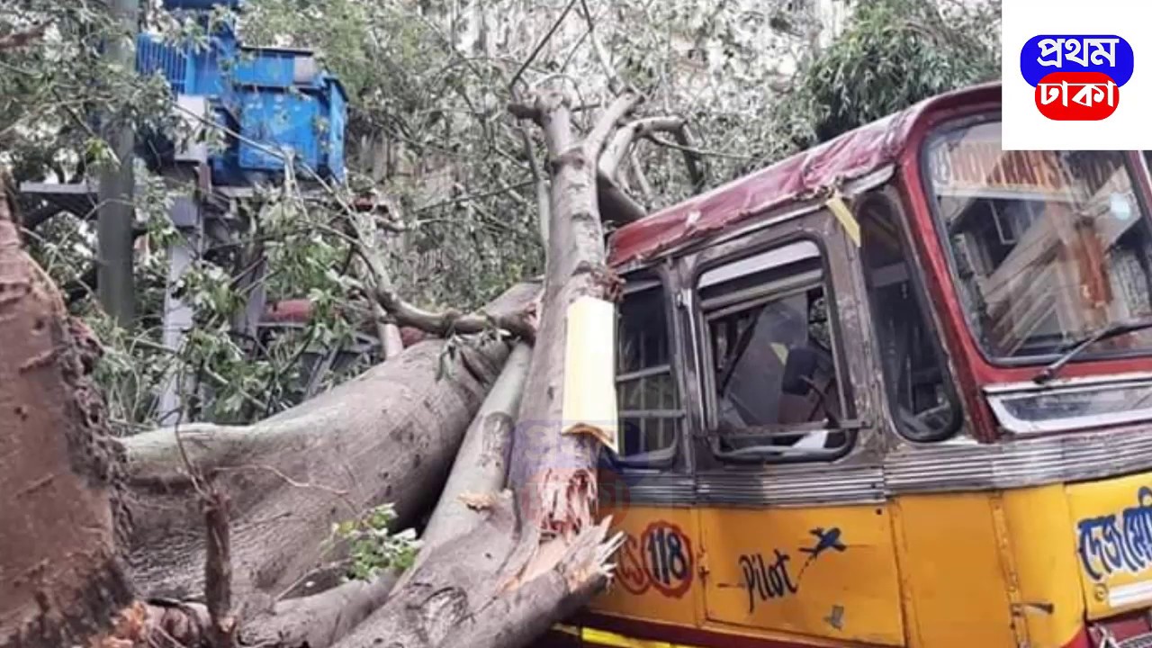 আম্ফানে ছনস কলকাতা ।। amfan effect in kolkata - YouTube