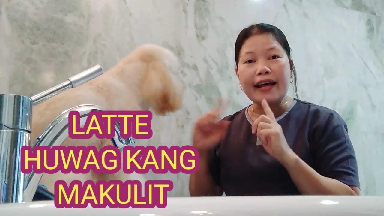 PAANO MAGING MABAIT ANG ALAGA MONG ASO ANONG DAPAT GAWIN (MADAMLEYS ...