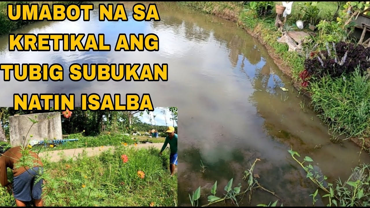 PAGPAPATUBIG SA FISH POND AT SA ATING KA HANGGAN - YouTube