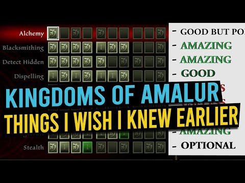 Dinge, die ich gerne früher gewusst hätte – KINGDOMS OF AMALUR RE-RECKONING