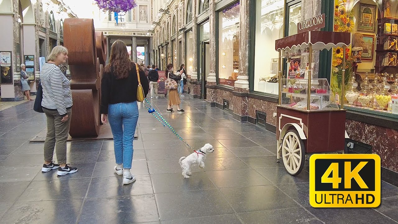 BRUSSELS 4K Walk Shopping Arcades: Royal Saint-Hubert Galleries ...