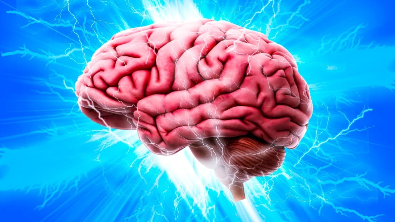 8 COSAS QUE NO SABÍAS DE TU CEREBRO !! - YouTube