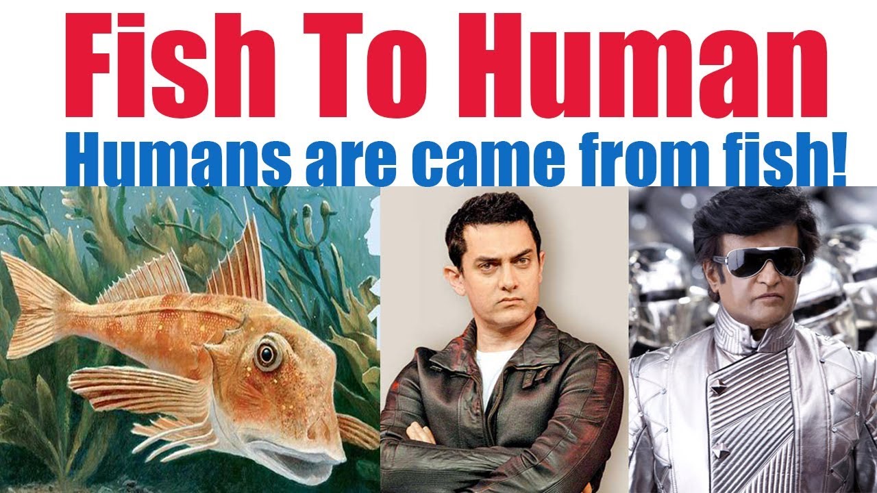 Did you know humans came from fish! | மனிதன் உரூவான உன்மை கதை | TAMIL ...
