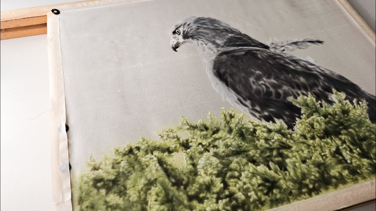 HAWK - Silk Painting - YouTube