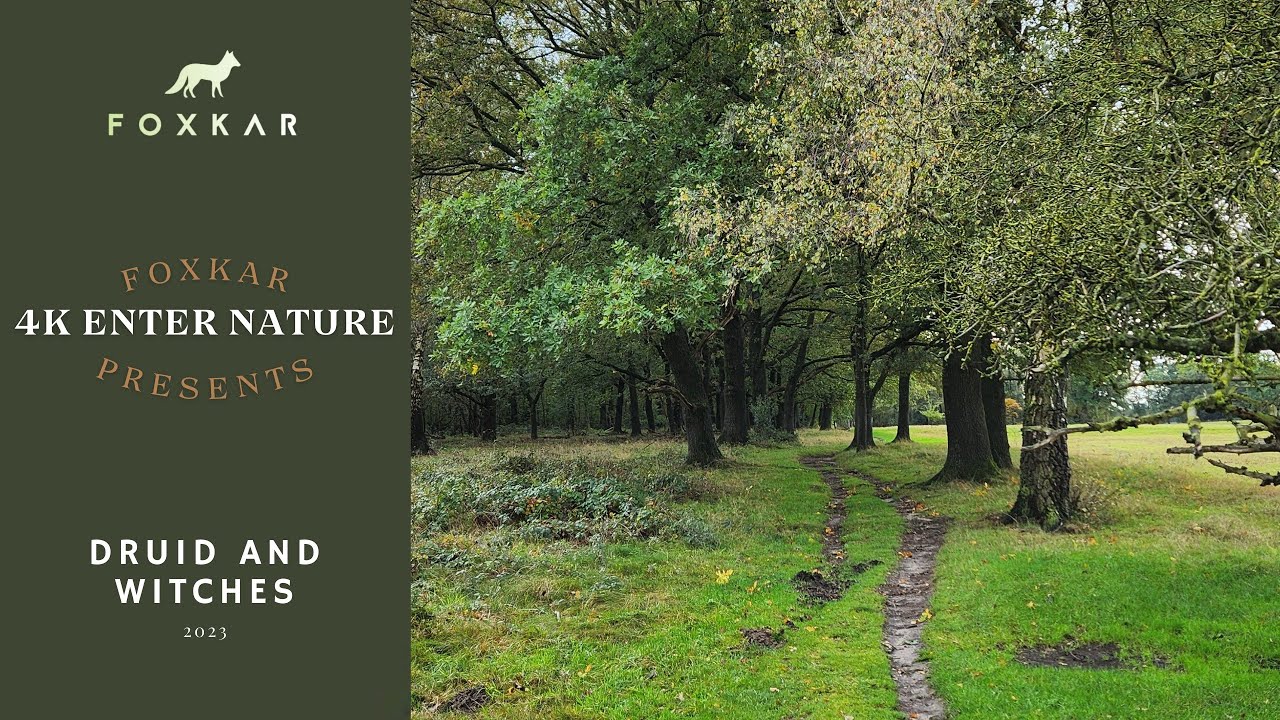 4k Nature Enter /|\"Druids Path"/|\ - YouTube