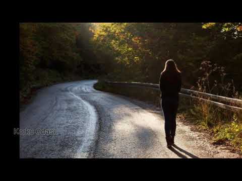 GECE ORMANDA ( KISA KORKU HİKAYELERİ )