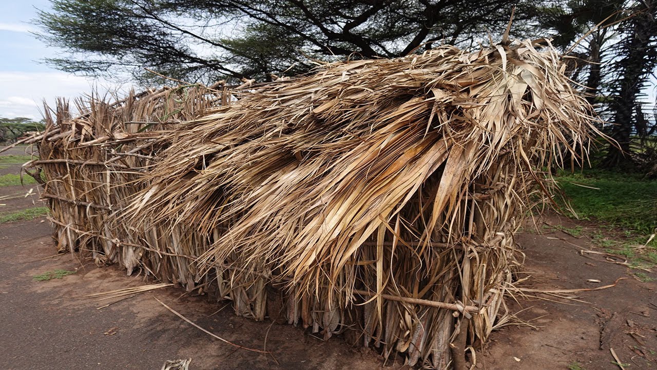 BUSHMEN CRAZY HOUSE IN THE FOREST: HADZA, DATOGA TRIBE EAST AFRICA ...
