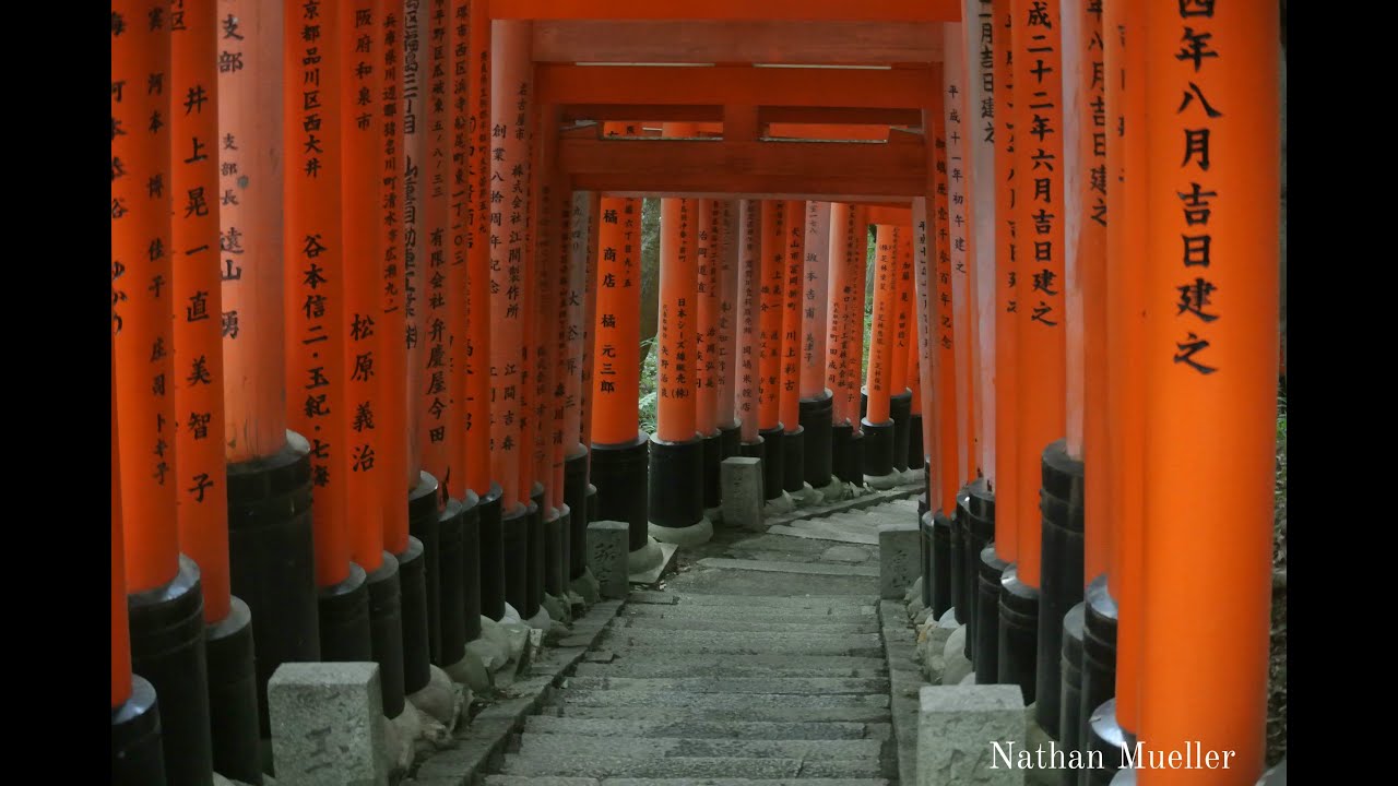 TTN: Kyoto - The temple of a 1000 red gates \(＠O＠)／ - YouTube