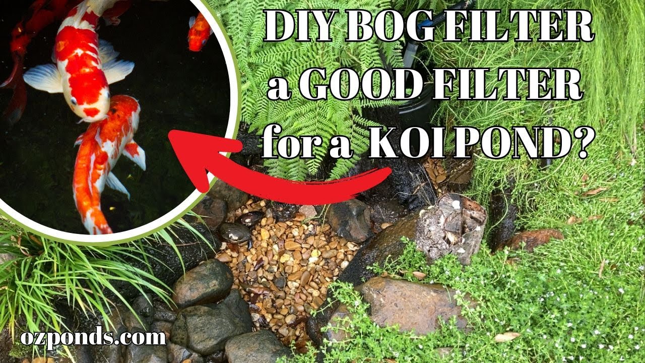 Is a Bog Filter a Good Filter for a Koi Pond? - YouTube