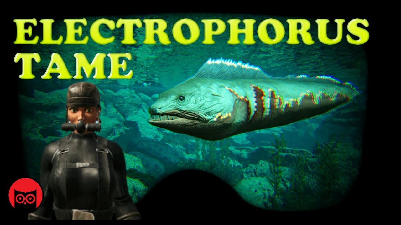 ELEKTRİK BALIĞI (ELECTROPHORUS) TAME / ARK SURVIVAL EVOLVED # ...