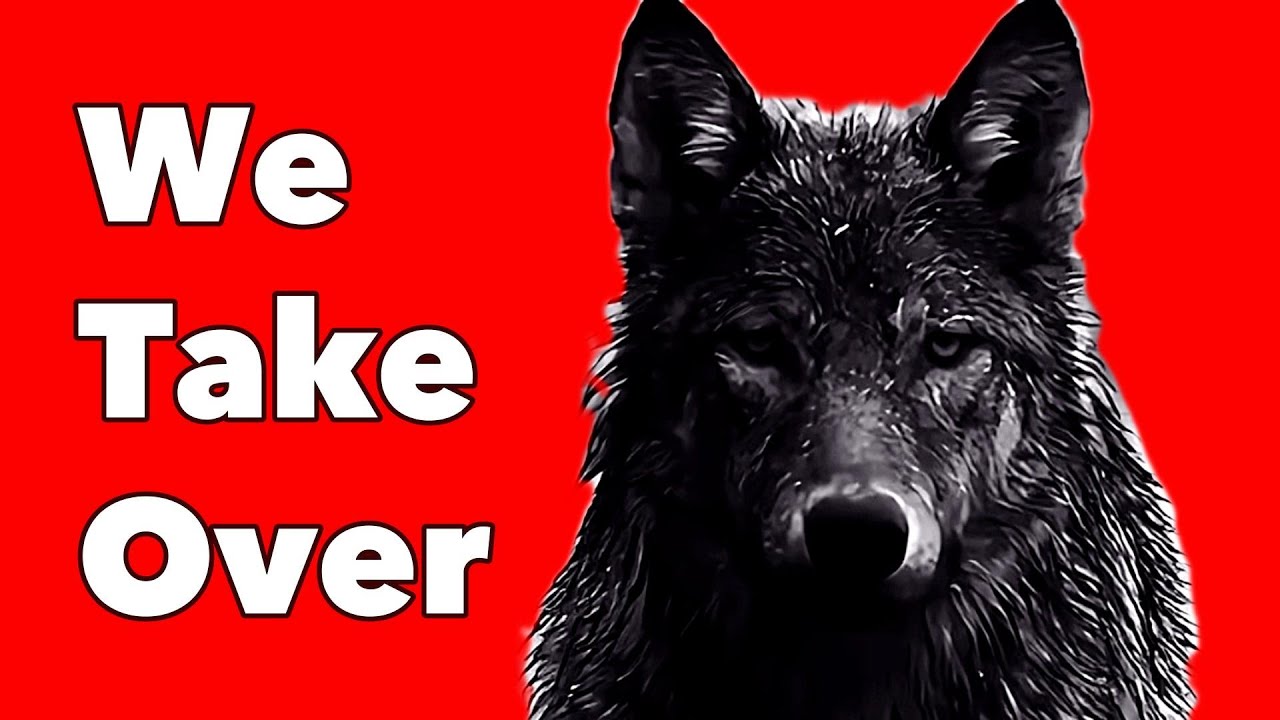 2024 we take over - YouTube