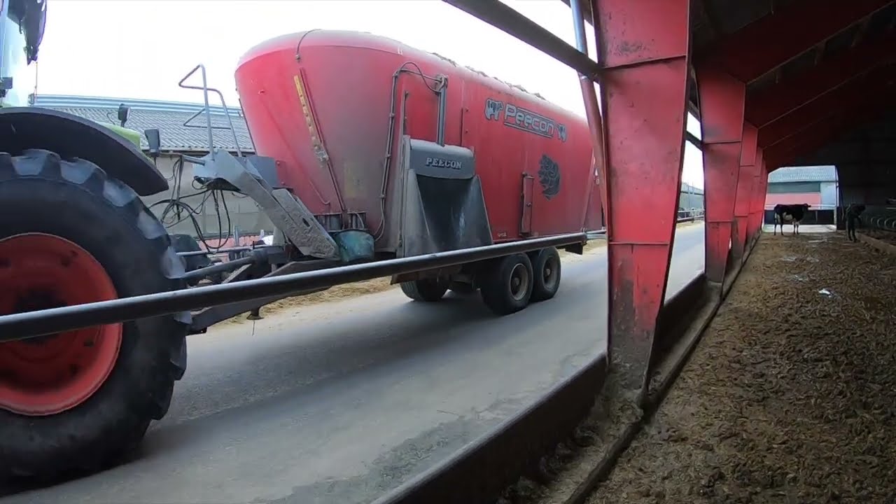Smart Cowshed Intelligent Technology Modern Farm Cow Automatic Hay Milk ...